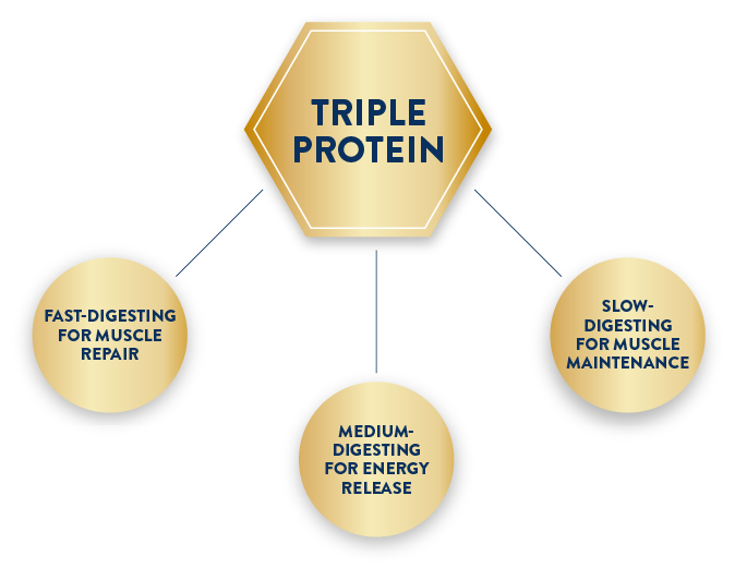 Muscle strength and muscle health - Ensure South Africa