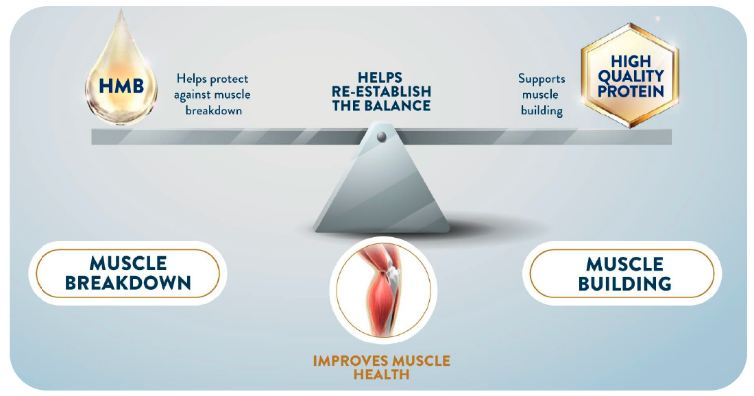 Muscle strength and muscle health - Ensure South Africa